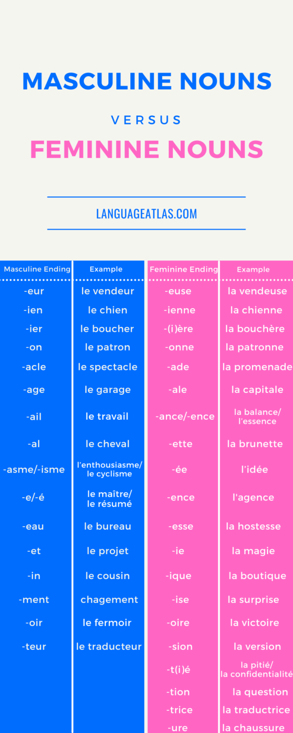 The Gender Of French Nouns By Endings Infographic | Language Atlas